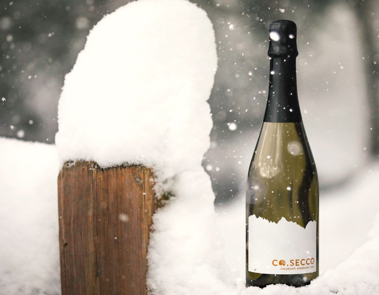 Carboy Winery Launches CO.SECCO - Marshall's Wine Encore